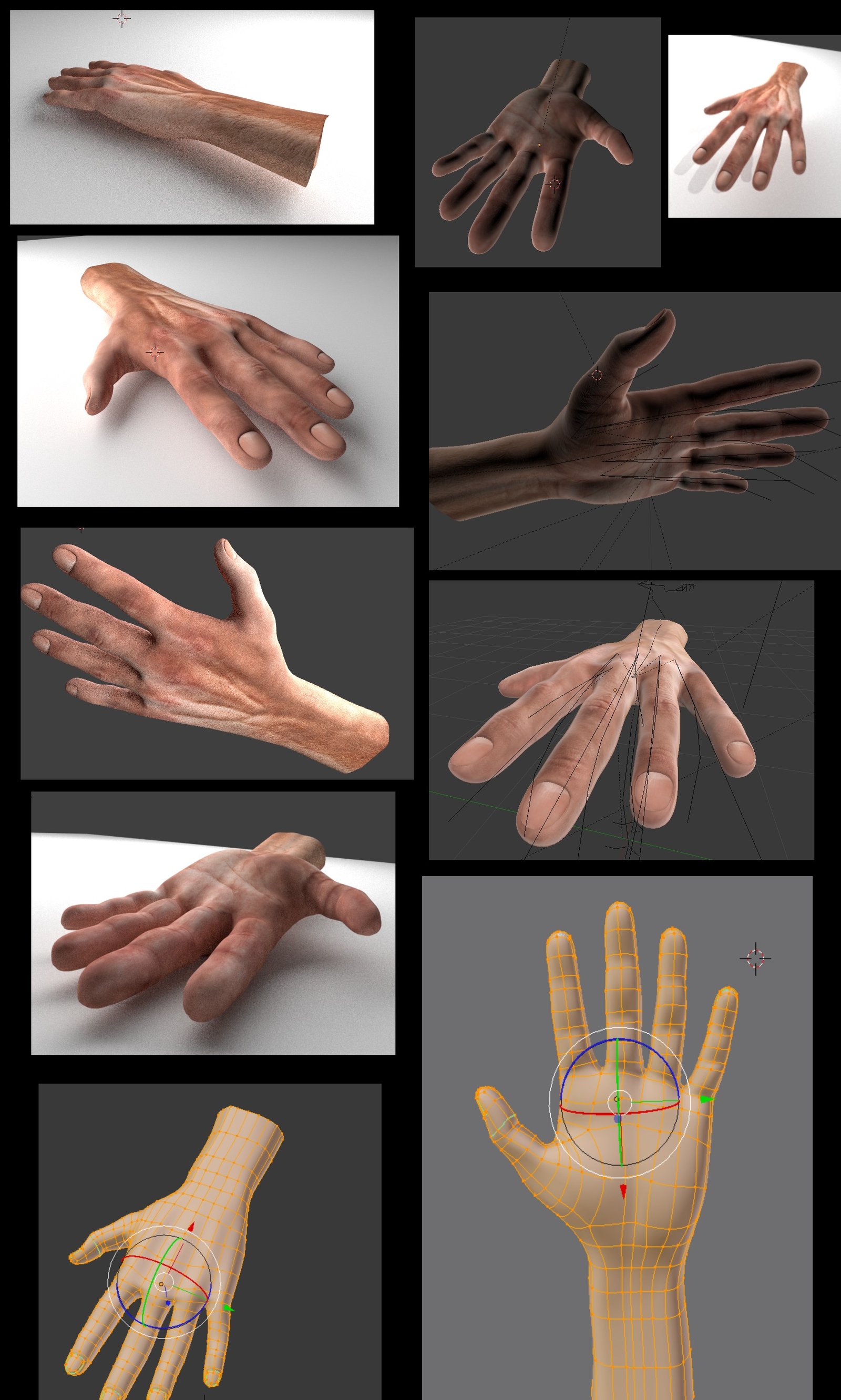 Rigged and Animated 3d Hands | 3DHaupt