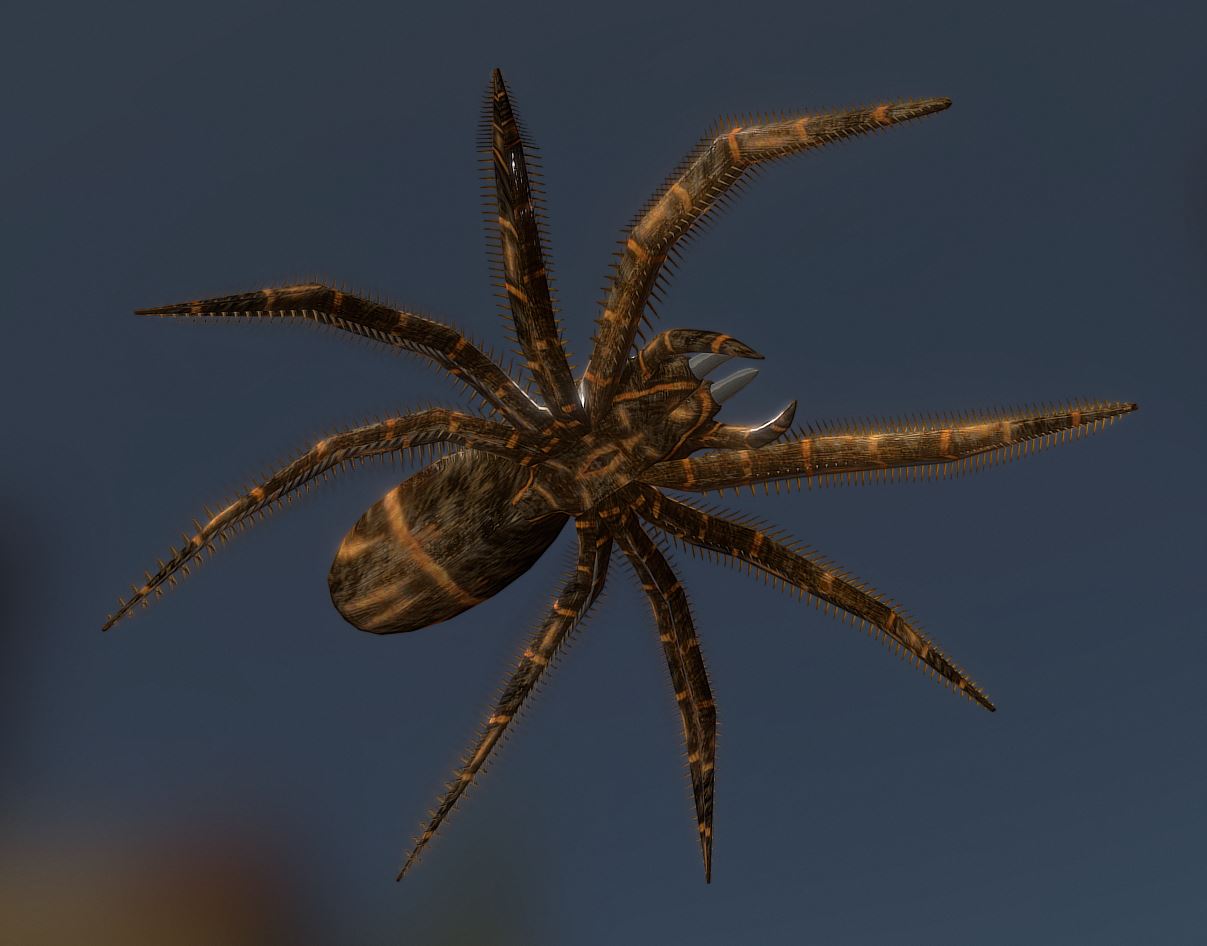 Animated Low-Poly Spider Game-Ready (Download) | 3DHaupt