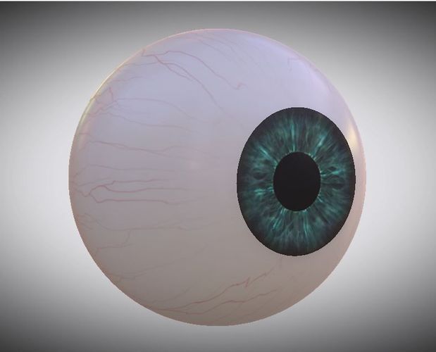 3D Eyeball (Download) | 3DHaupt