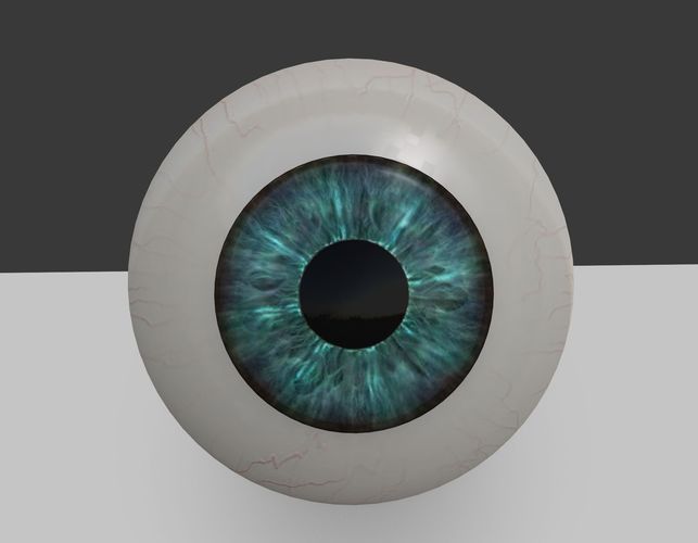3D Eyeball (Download) | 3DHaupt