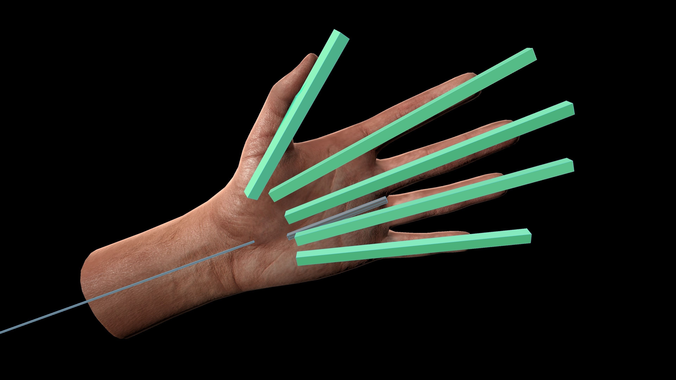 My Rigged and Animated 3d Hands (Downloads) | 3DHaupt